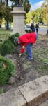 Brightside St. Louis | Cleaning & Greening